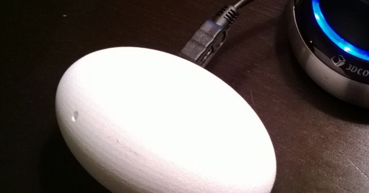 Egg hatches plan to entertain cats