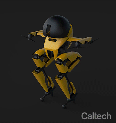 Bipedal robot/drone hybrid can walk, fly and skateboard