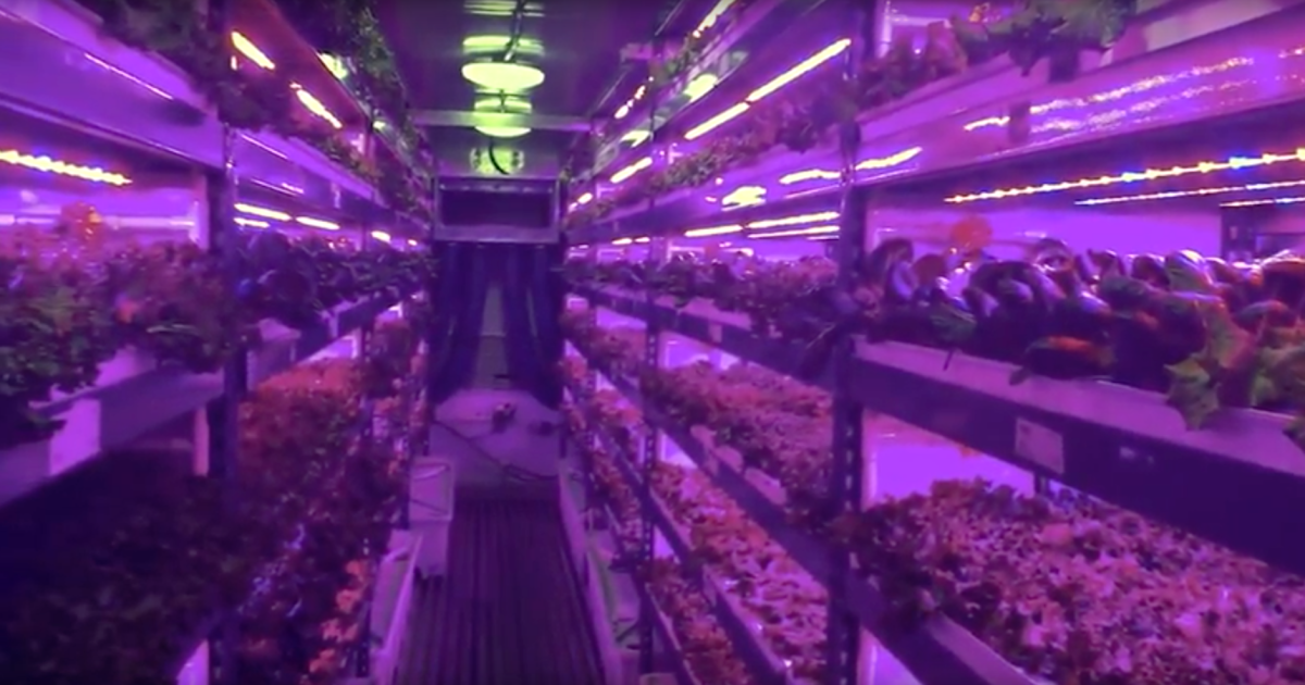 World s Largest Vertical Farm Will Feed Emirates Airlines Passengers world-s-largest-vertical-farm-will-feed-emirates-airlines-passengers