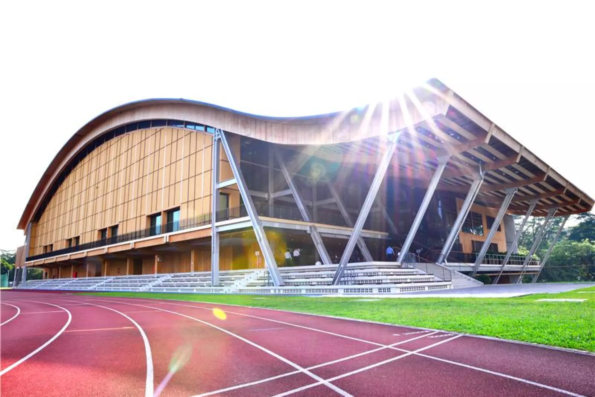 Wooden sports hall rides The Wave of sustainable design