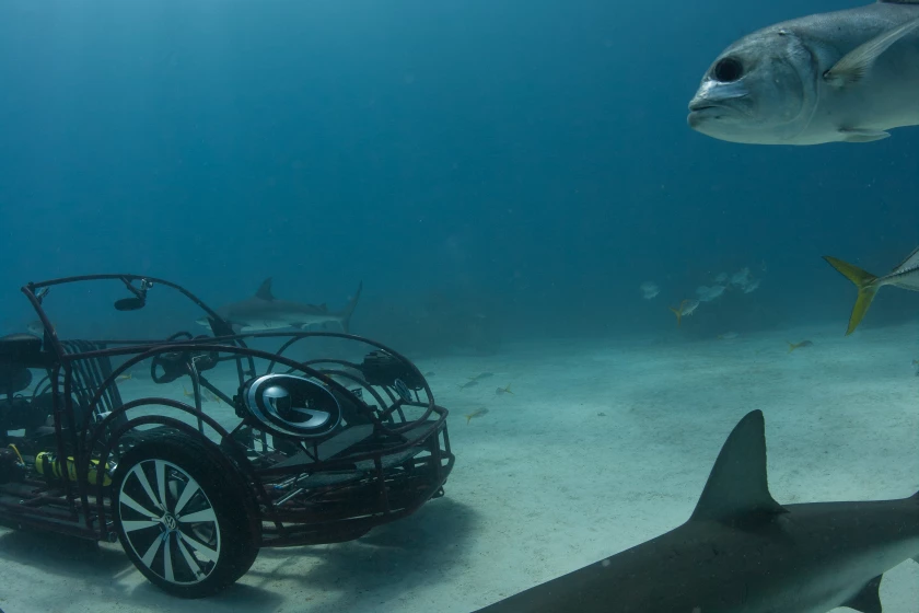 Volkswagen's caged Beetle Convertible swims with the sharks