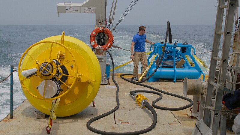 Acoustic buoy lets scientists eavesdrop on whales in real-time