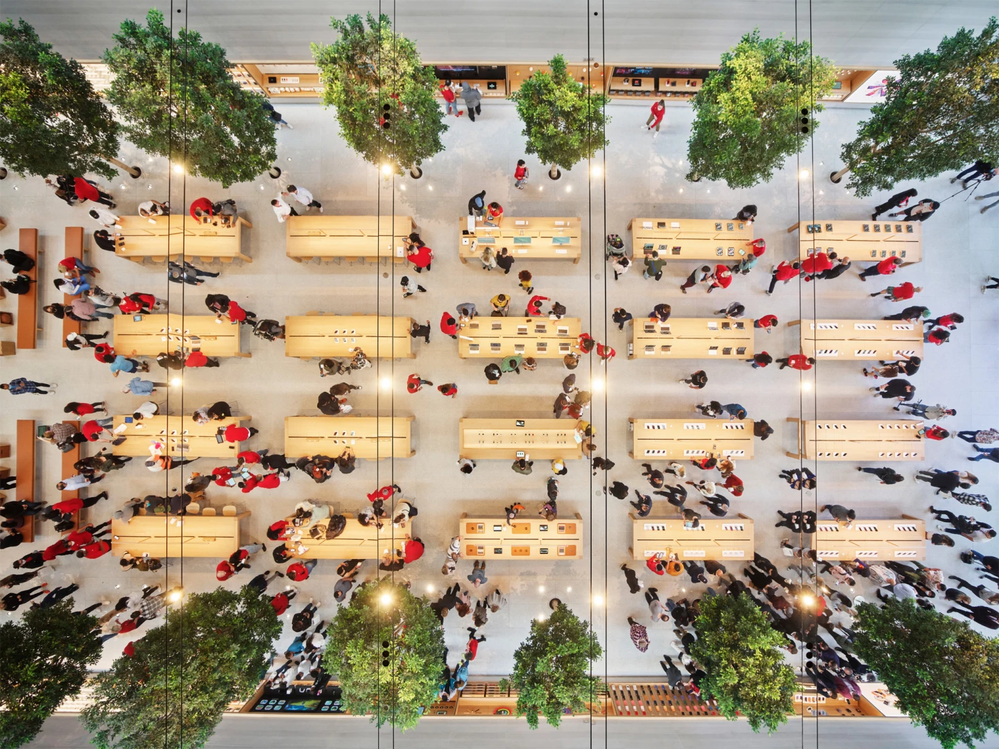 LA Apple Store brings the outdoors inside with tree-lined retail space