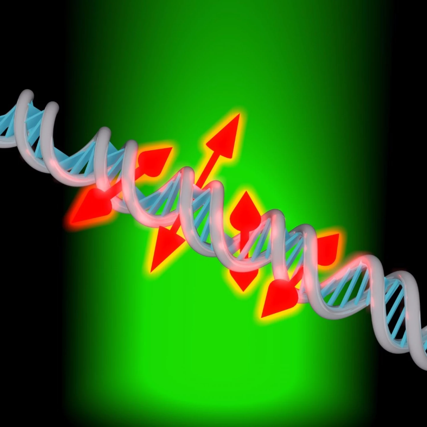 Polarized lasers zap dyed DNA into super resolution
