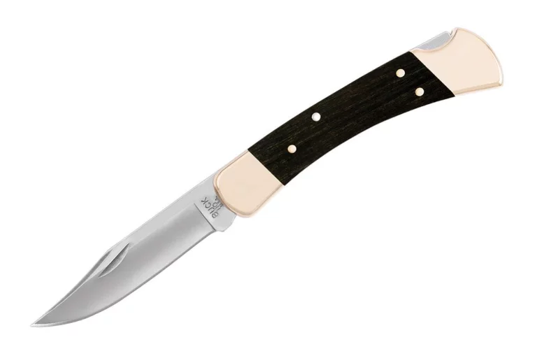The game-changing Buck 110 Folding Hunter knife