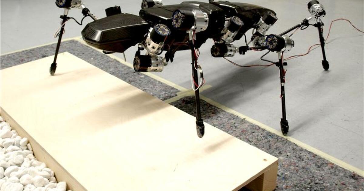Hector the stick insect-inspired robot takes its first steps