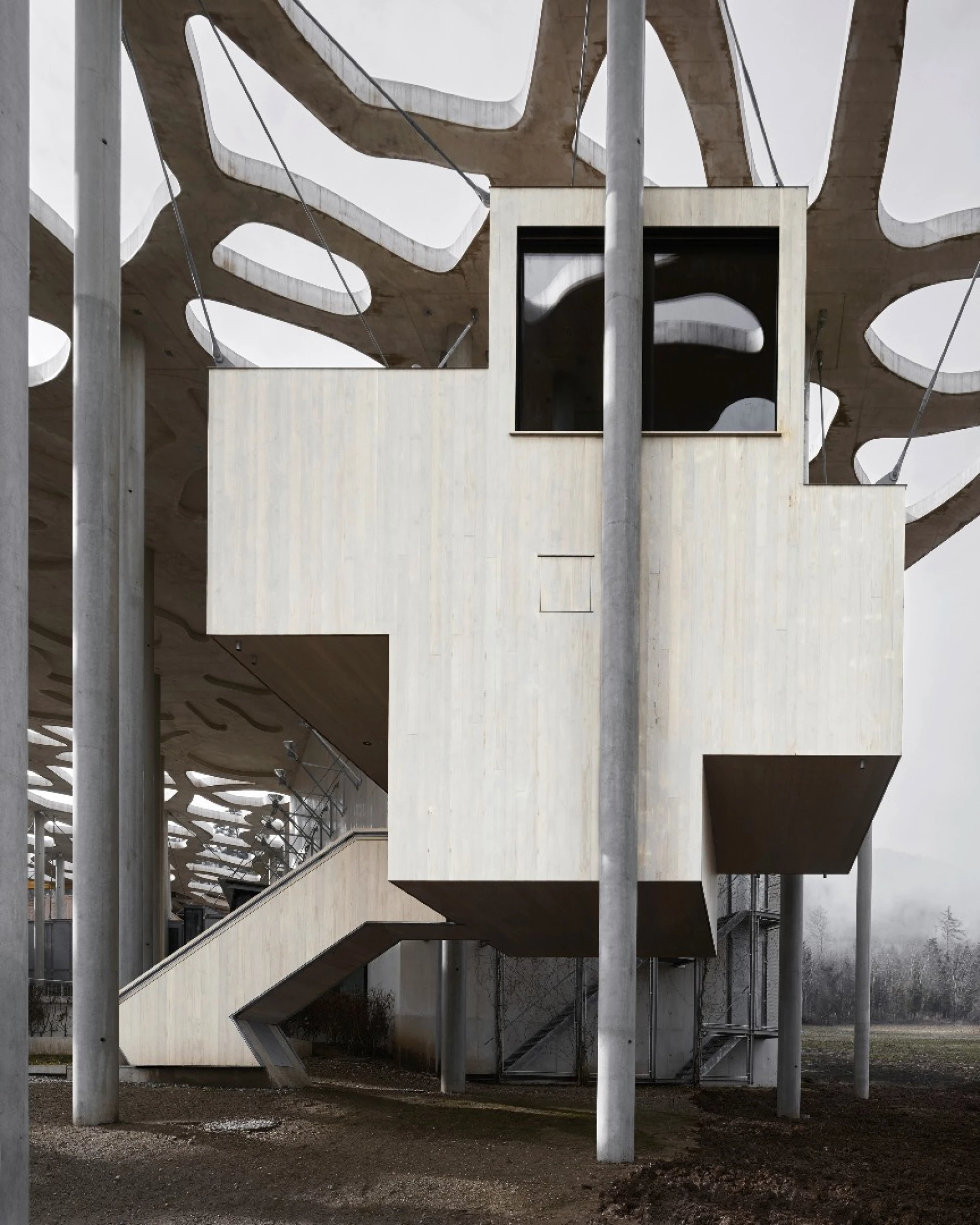 Wooden writer's cabin dangles in the forested foothills of Switzerland