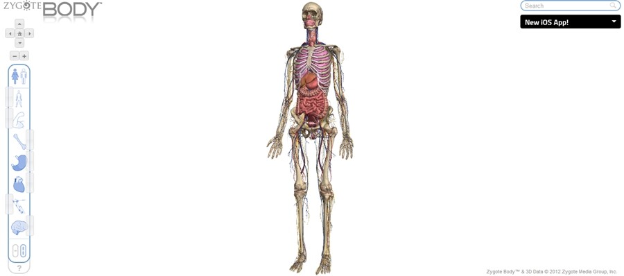 10 useful and innovative Google services you may not know about