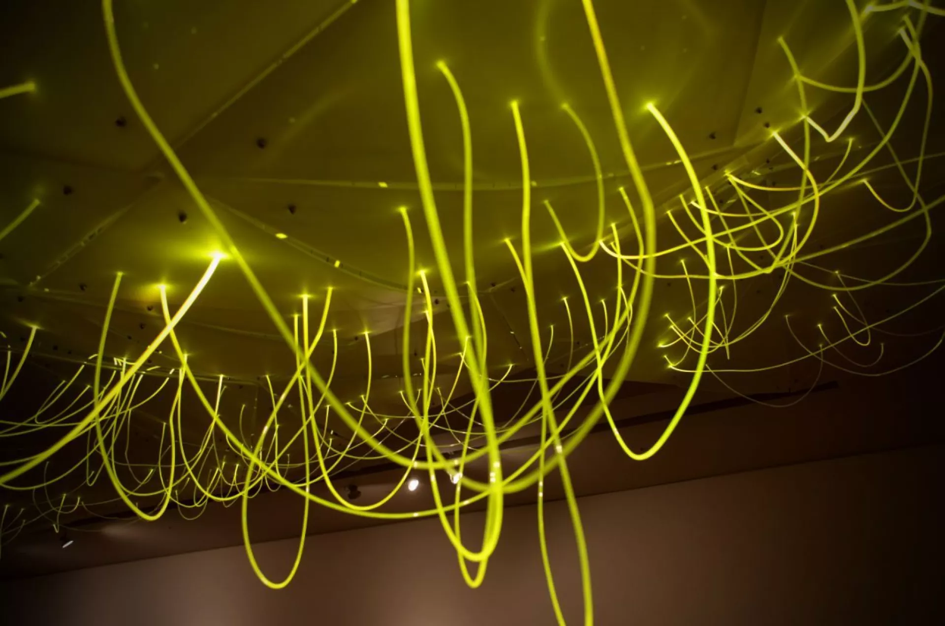 Mood Map exhibit turns tweets into art