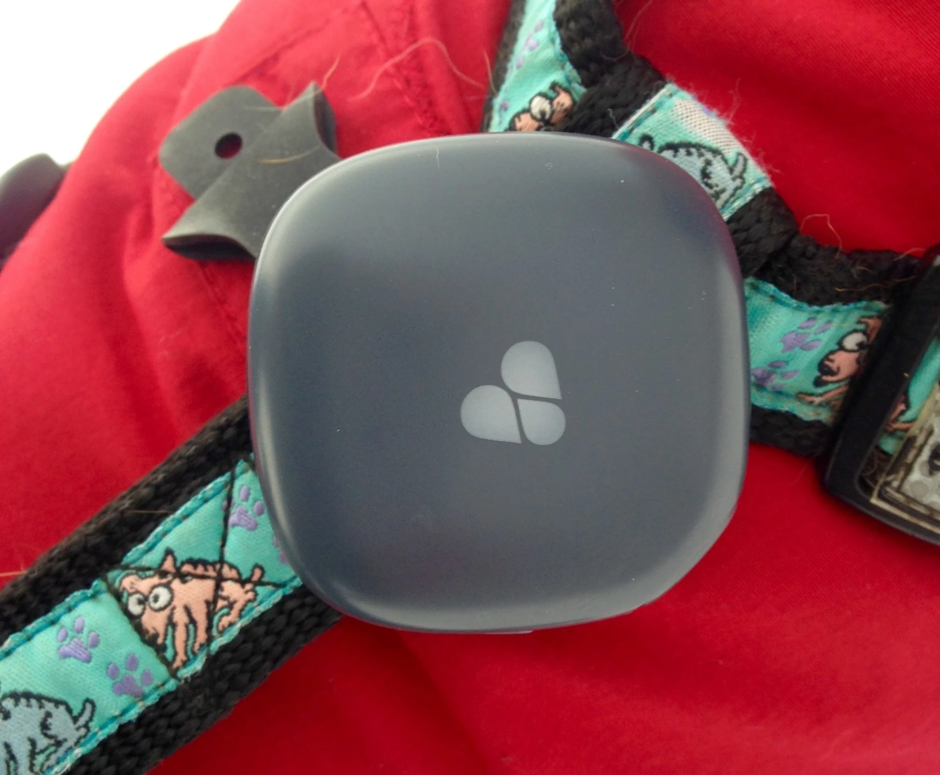 Review: Findster Duo Plus offers fee-free GPS pet-tracking