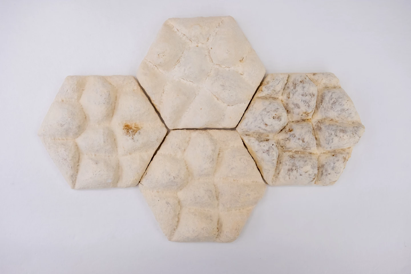 "Elephant skin" mycelium tiles keep buildings chilled – and look cool, too
