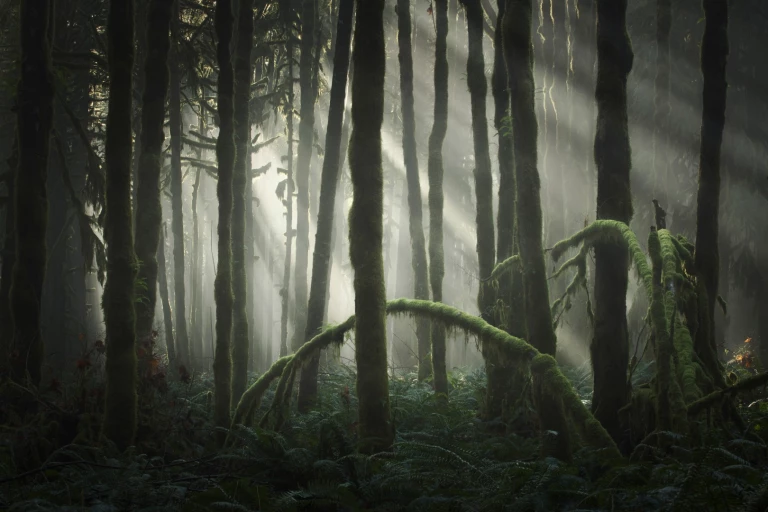 Majestic views: The winners of the International Landscape Photographer ...
