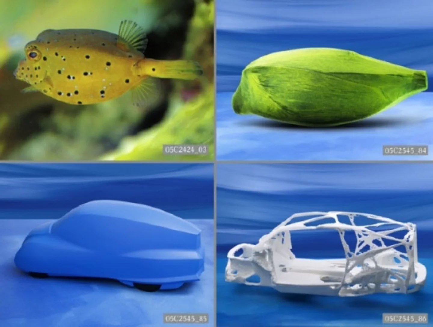 Mercedes-Benz bionic car: automotive design meets modern art