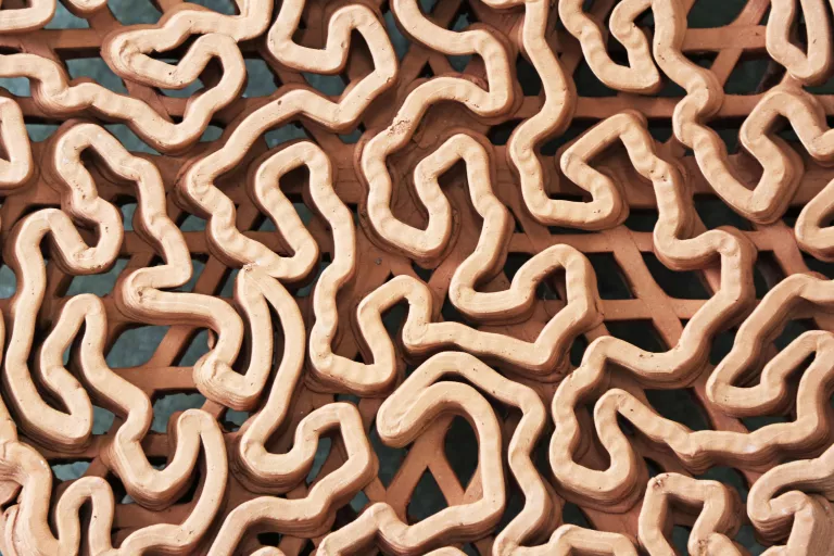 3D-printed clay tiles designed to restore coral reefs
