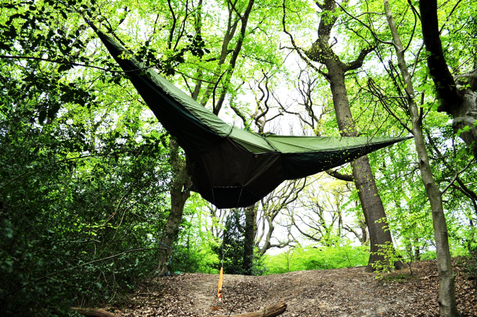 Tree-hanging tent provides above-ground shelter