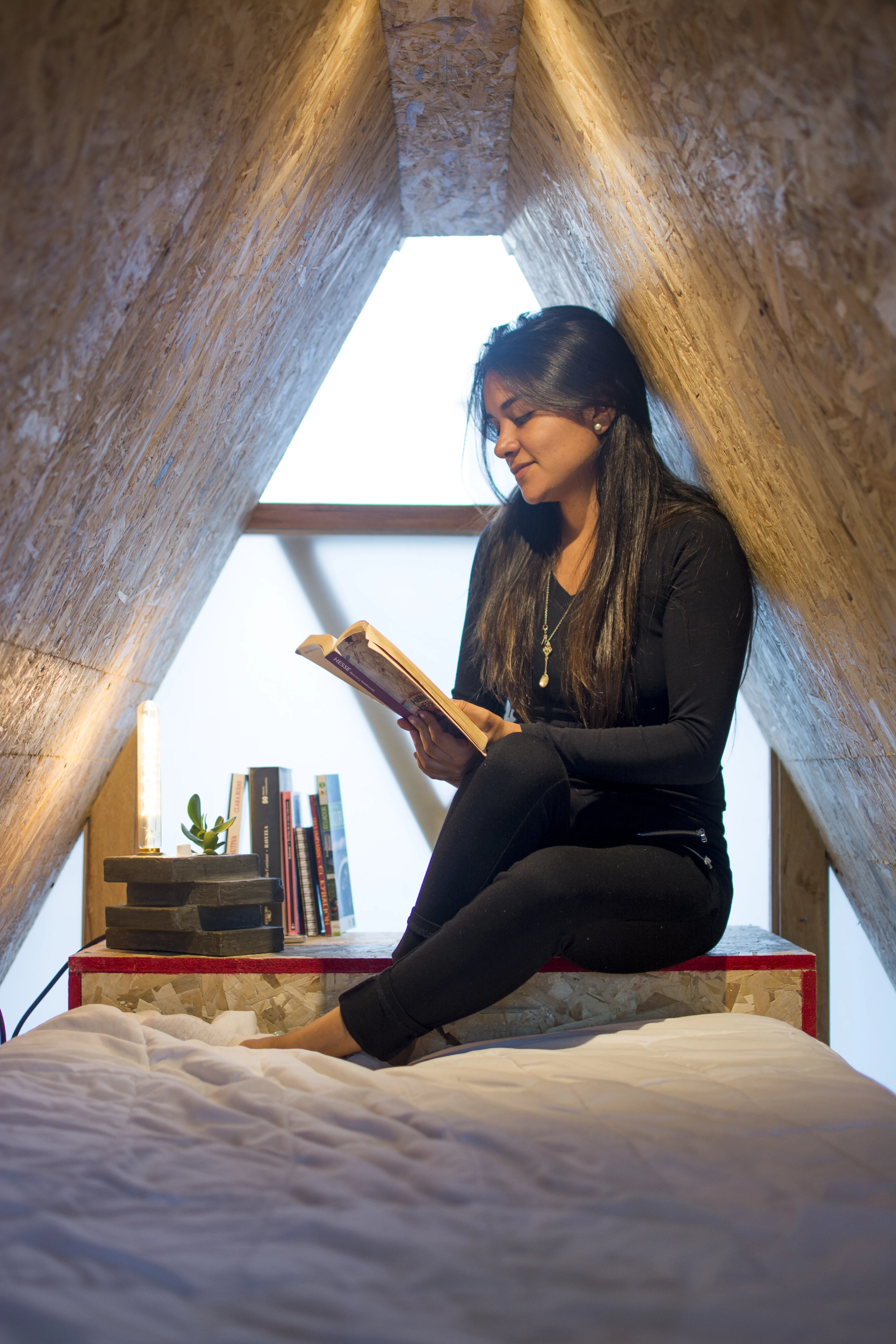 Parasitic tiny house is installed on the roofs of city buildings