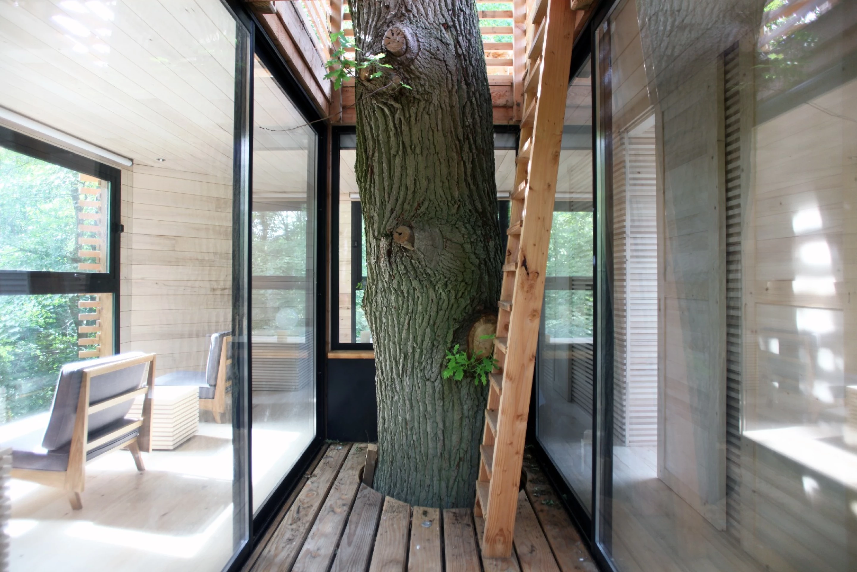 Geometric treehouse packs unexpected treetop luxury