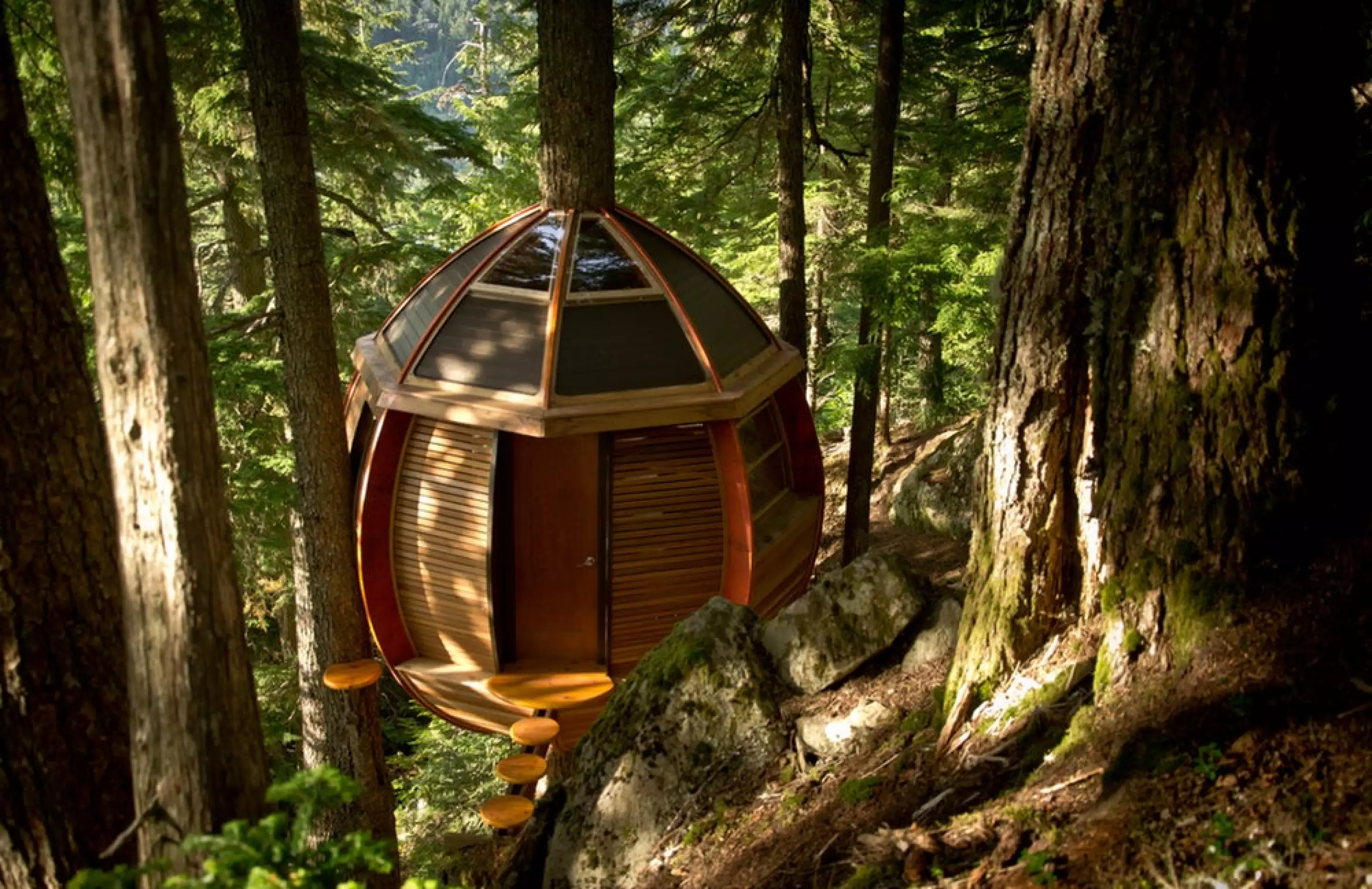 Gallery: Tremendous treehouses to coax big kids towards the canopy