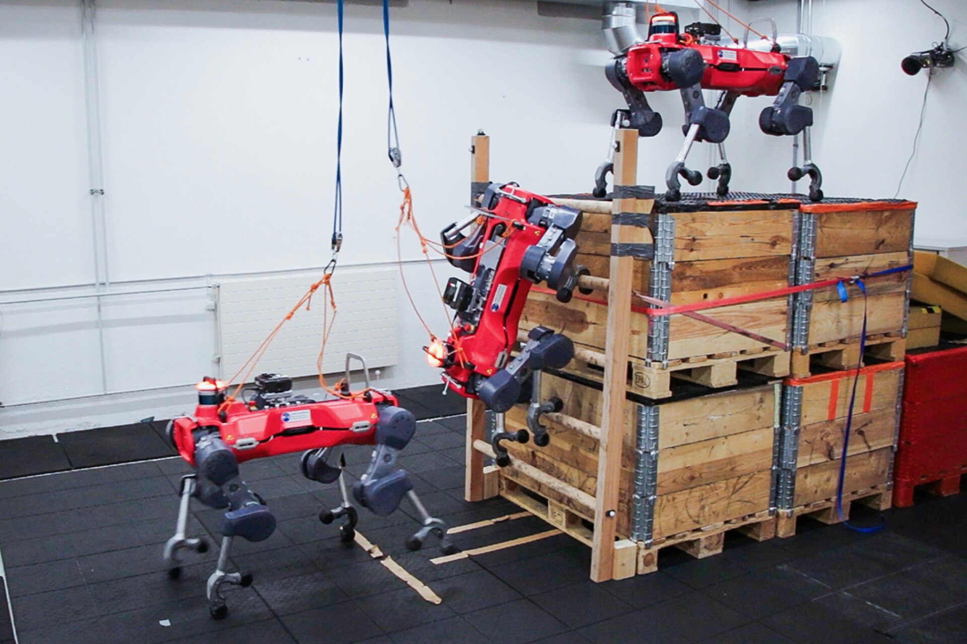Multi Talented Quadruped Robot Now Climbs Ladders Faster Than Any Other