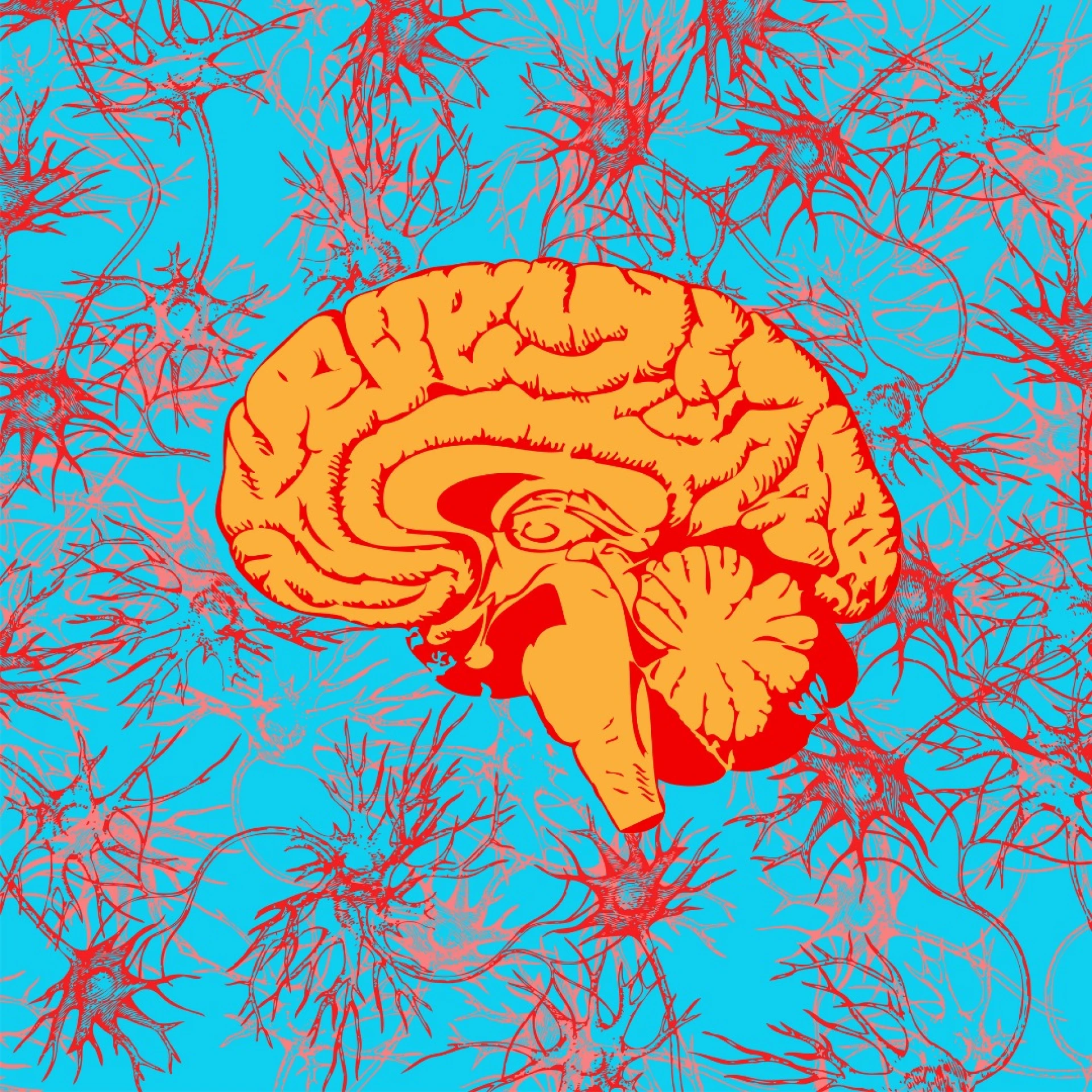 New insights into how a mammalian brain naturally produces psychedelic DMT