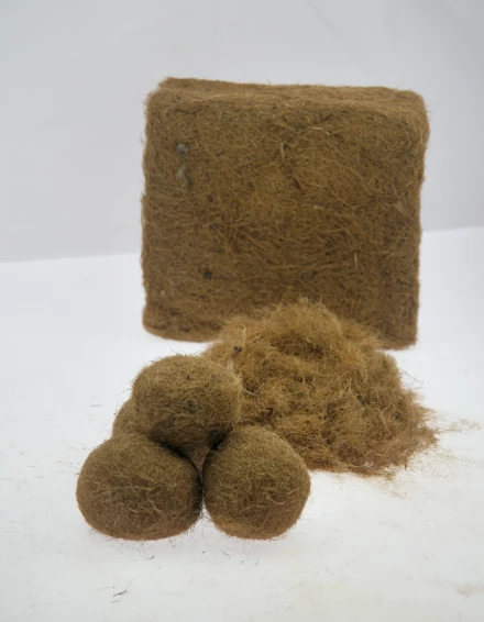 Waste seaweed finds use as insulation