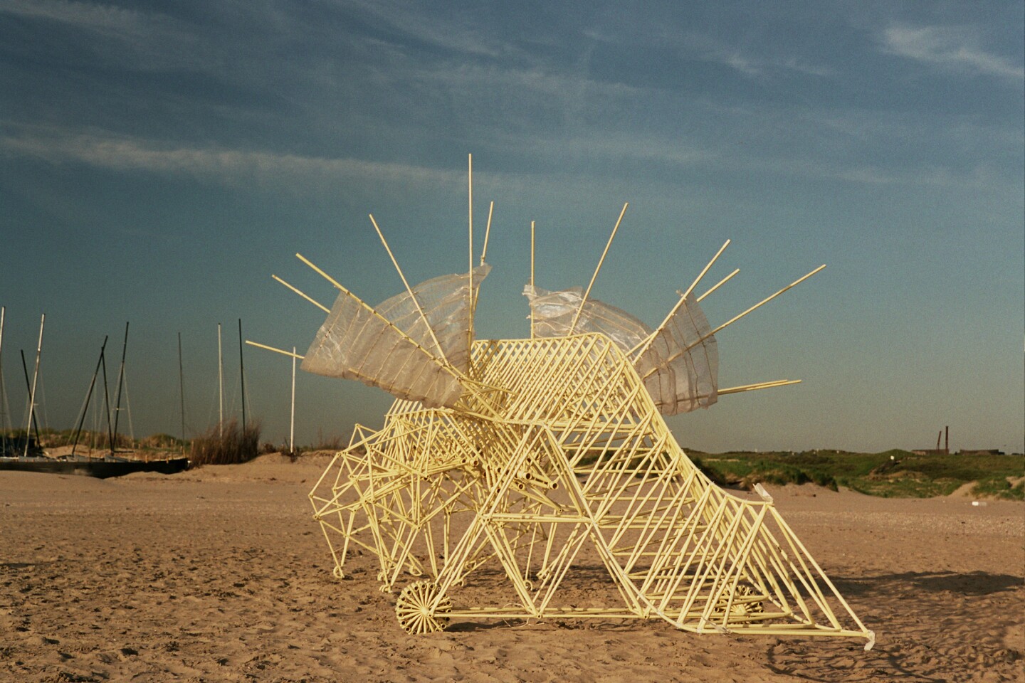 Evolving art: Majestic Strandbeest sculptures come to life on the beach