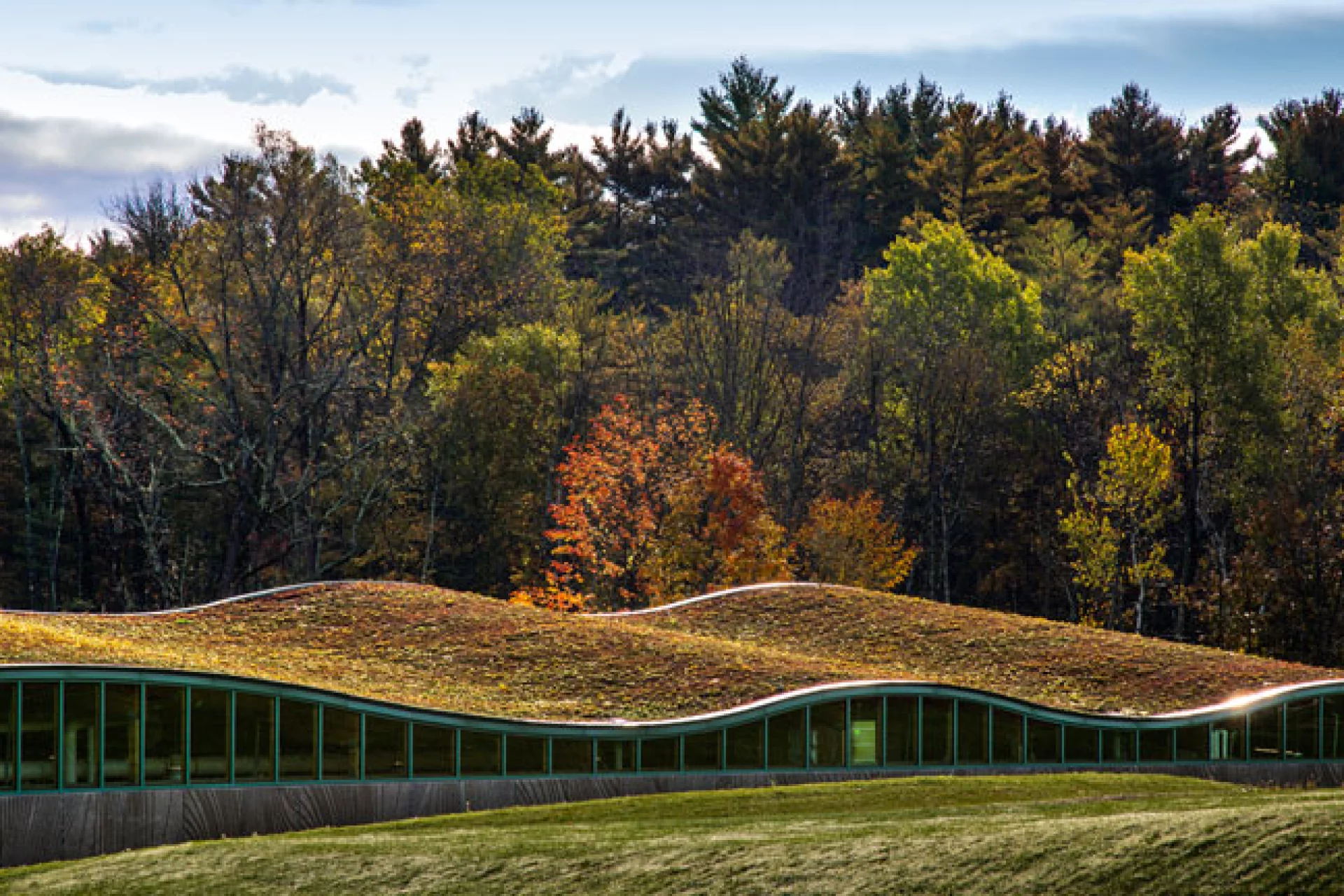 Of biomass and green roofs: US school slashes winter energy bill