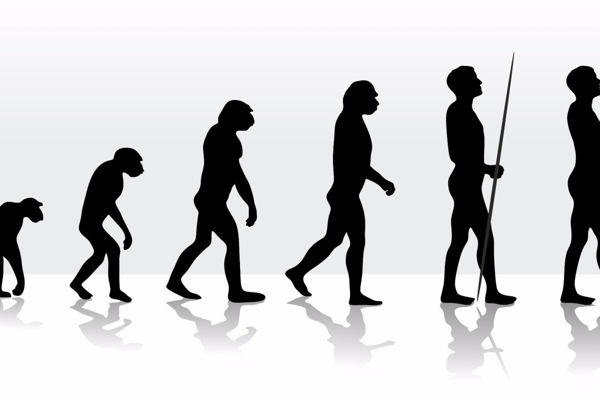 genetic variation and human evolution