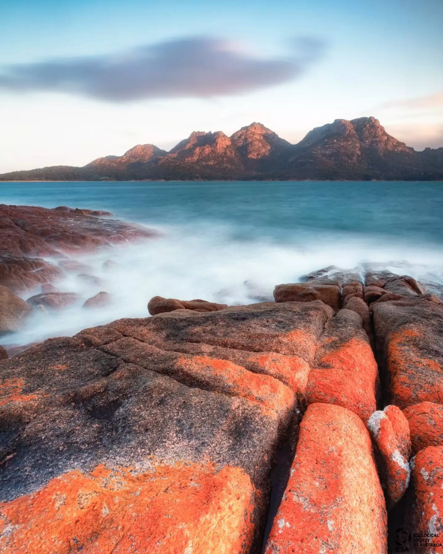 Ecology photo awards showcase Australia's stunning biodiversity