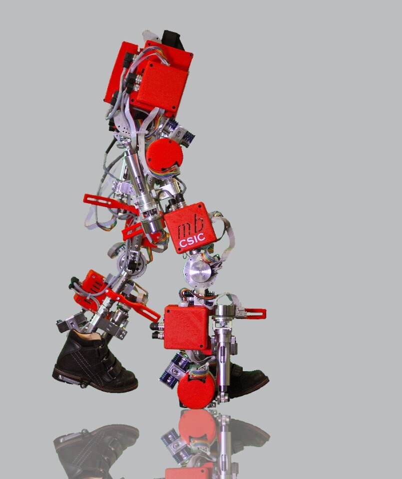 Tiny exoskeleton has a huge goal