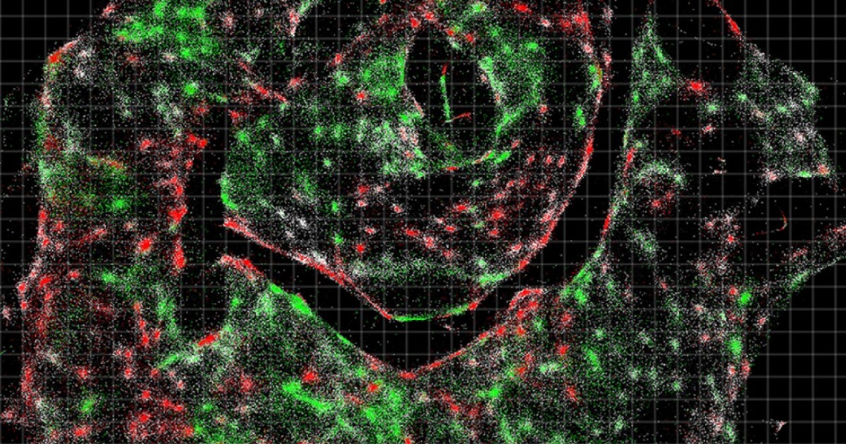 human dna under microscope