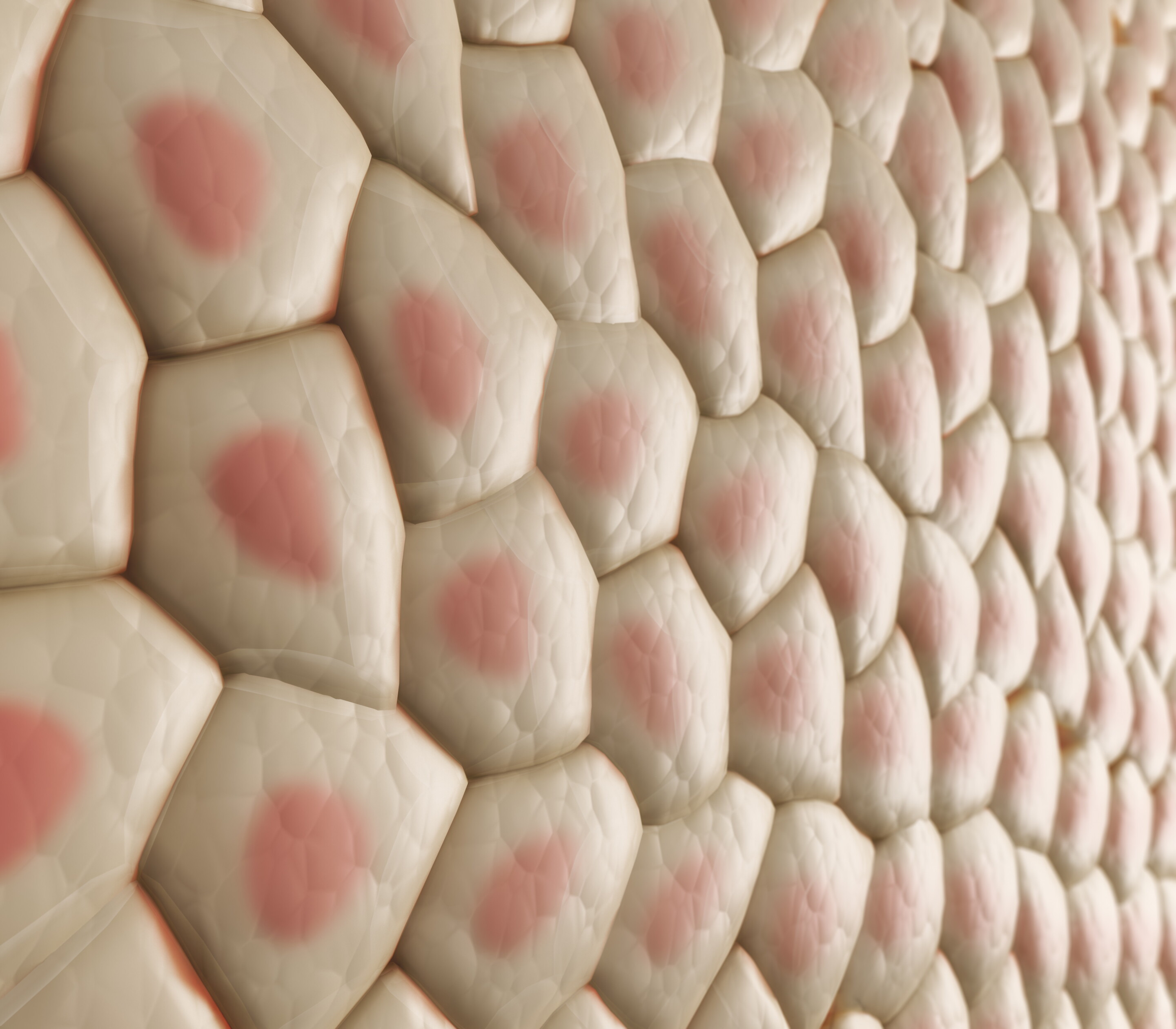 Converting Skin Cells Directly Into Brain Cells Advances Fight Against 7859