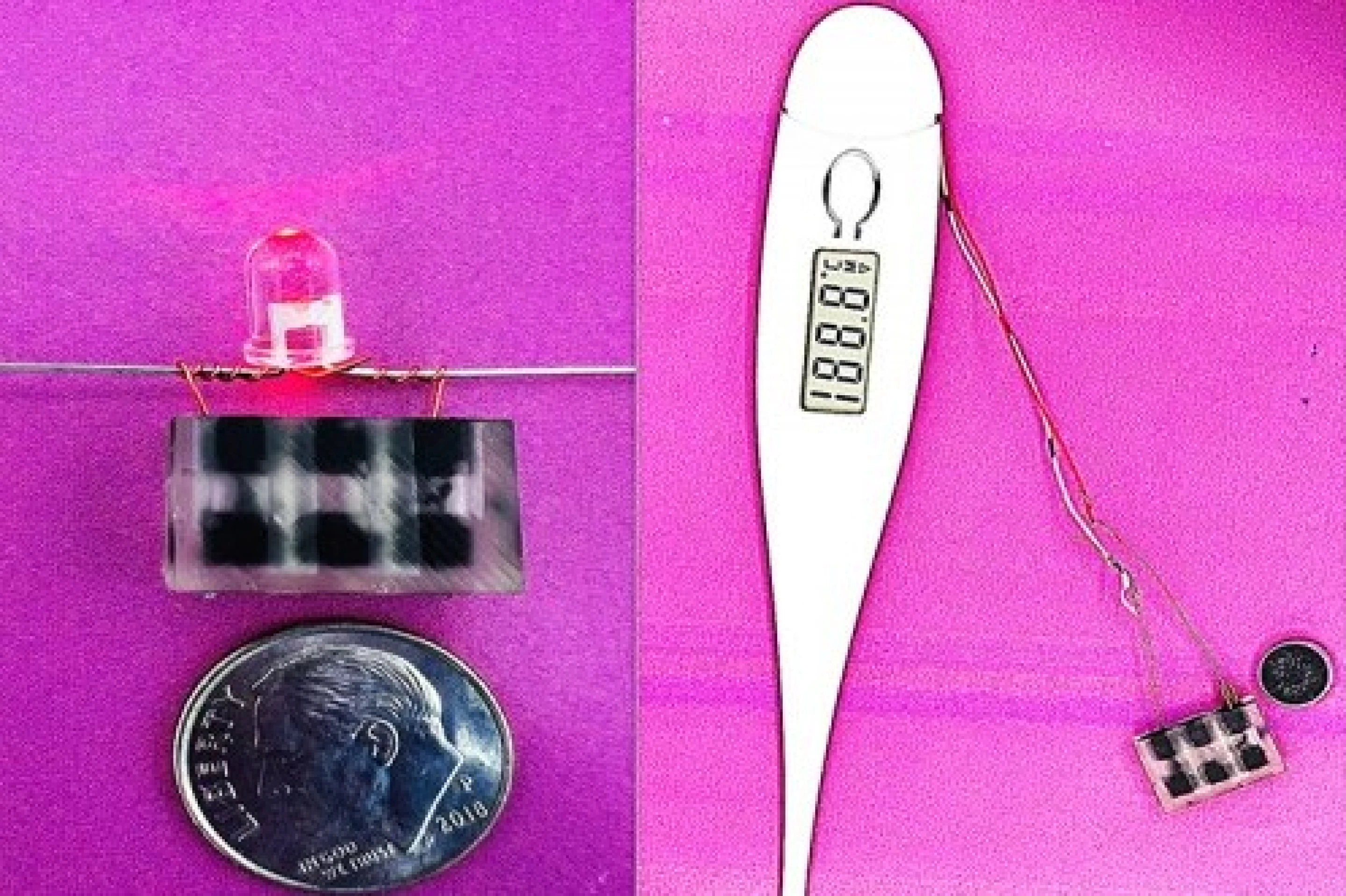 Spore-producing bacteria battery could last 100 years on the shelf