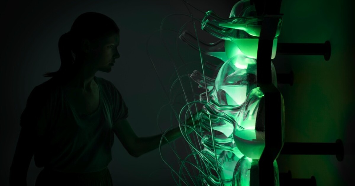 Philips Bio-light concept lights the home using bacteria