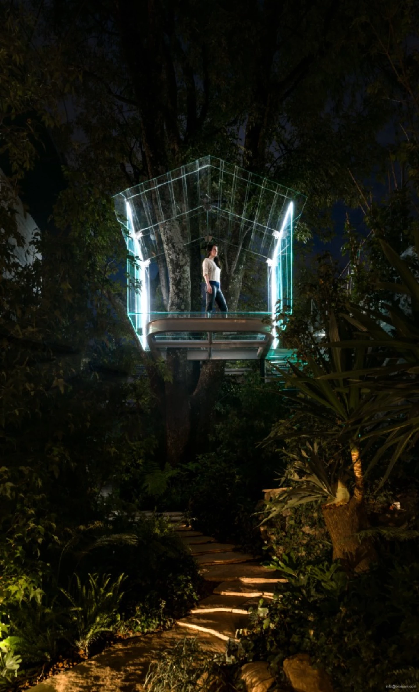 Glass treehouse peels back the curtain on privacy
