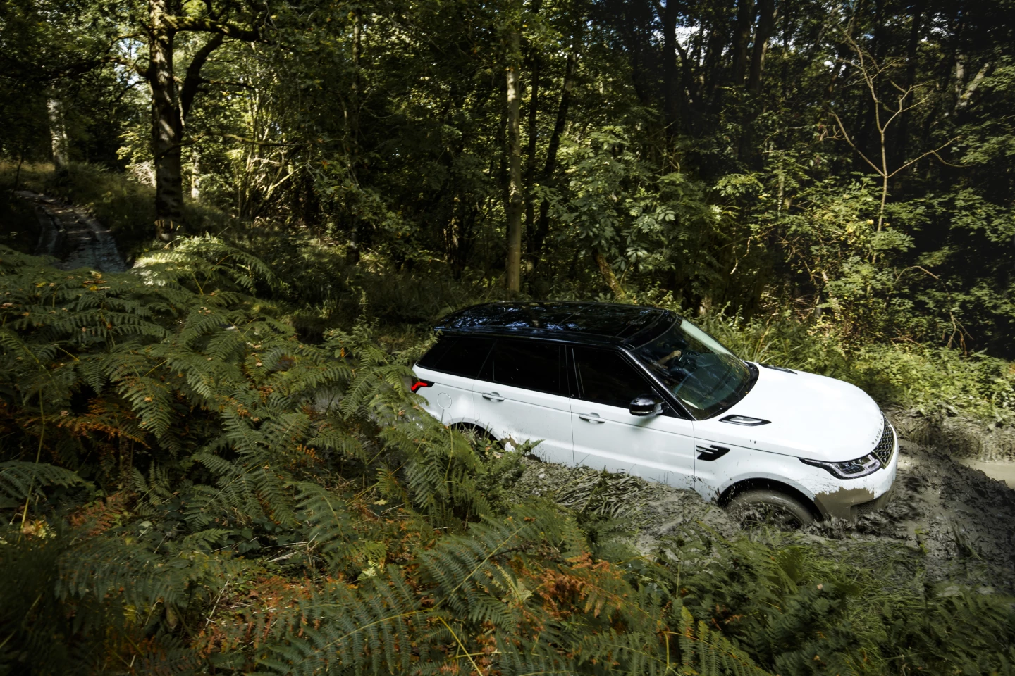 Plug-in hybrid improves Range Rover Sport's eco credentials