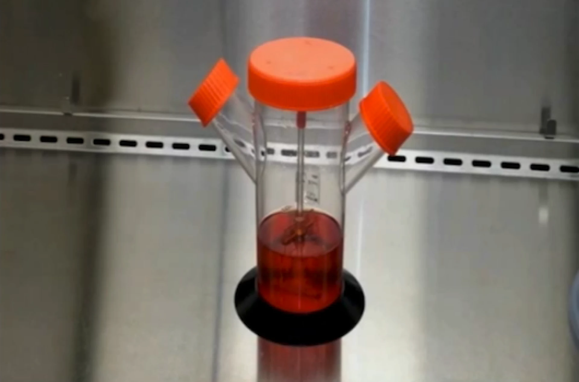 Scientists close in on diabetes cure with production of insulin ...