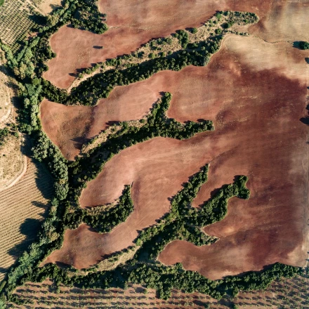 Aerial photography captures the beauty of how water shapes our planet