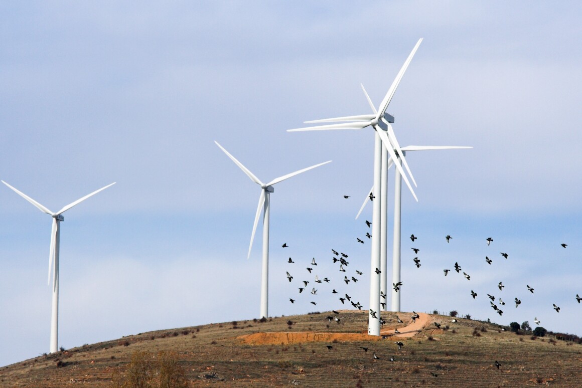 Might black wind turbines prevent bird collisions?