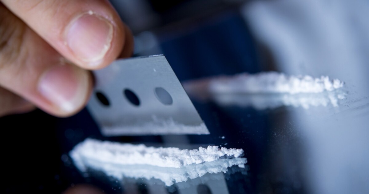 How one wrong hunch led to the creation of cocaine-resistant mice