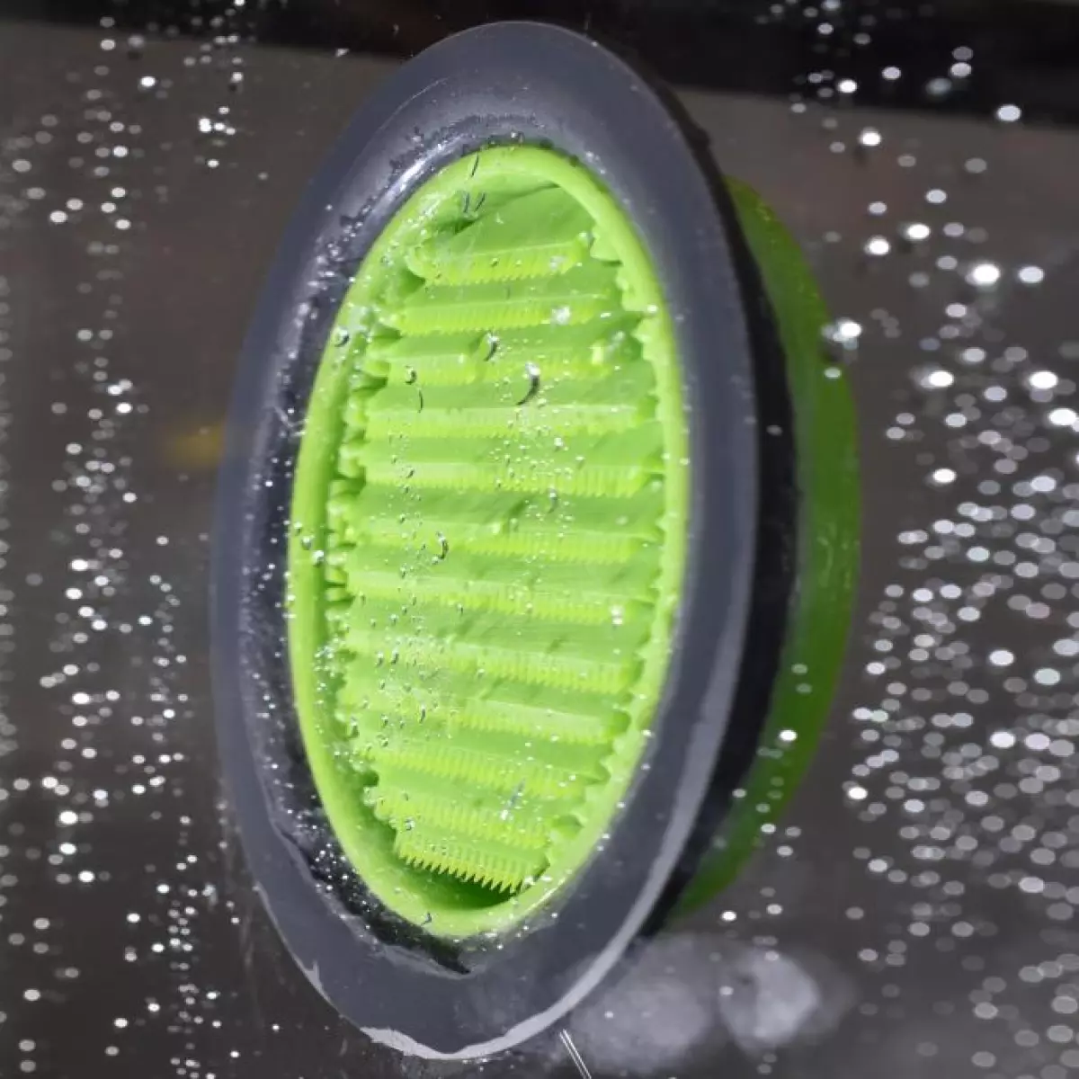 Remora-inspired suction cup outperforms the real thing