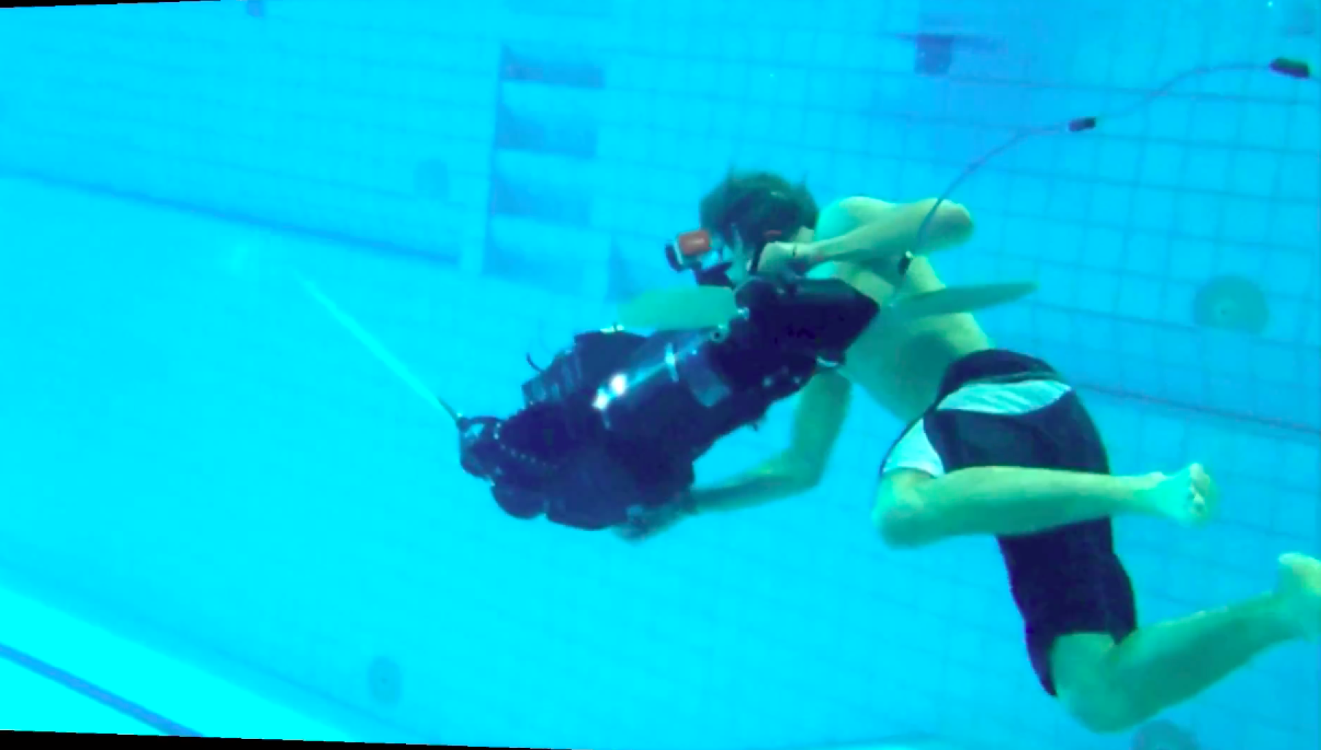 Robot sea turtle takes first dip in the pool