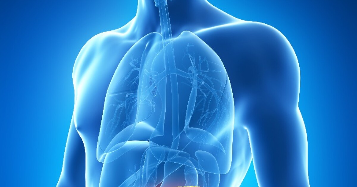 Losing A Single Gram Of Fat In The Pancreas Can Reverse Type 2 Diabetes losing-a-single-gram-of-fat-in-the-pancreas-can-reverse-type-2-diabetes