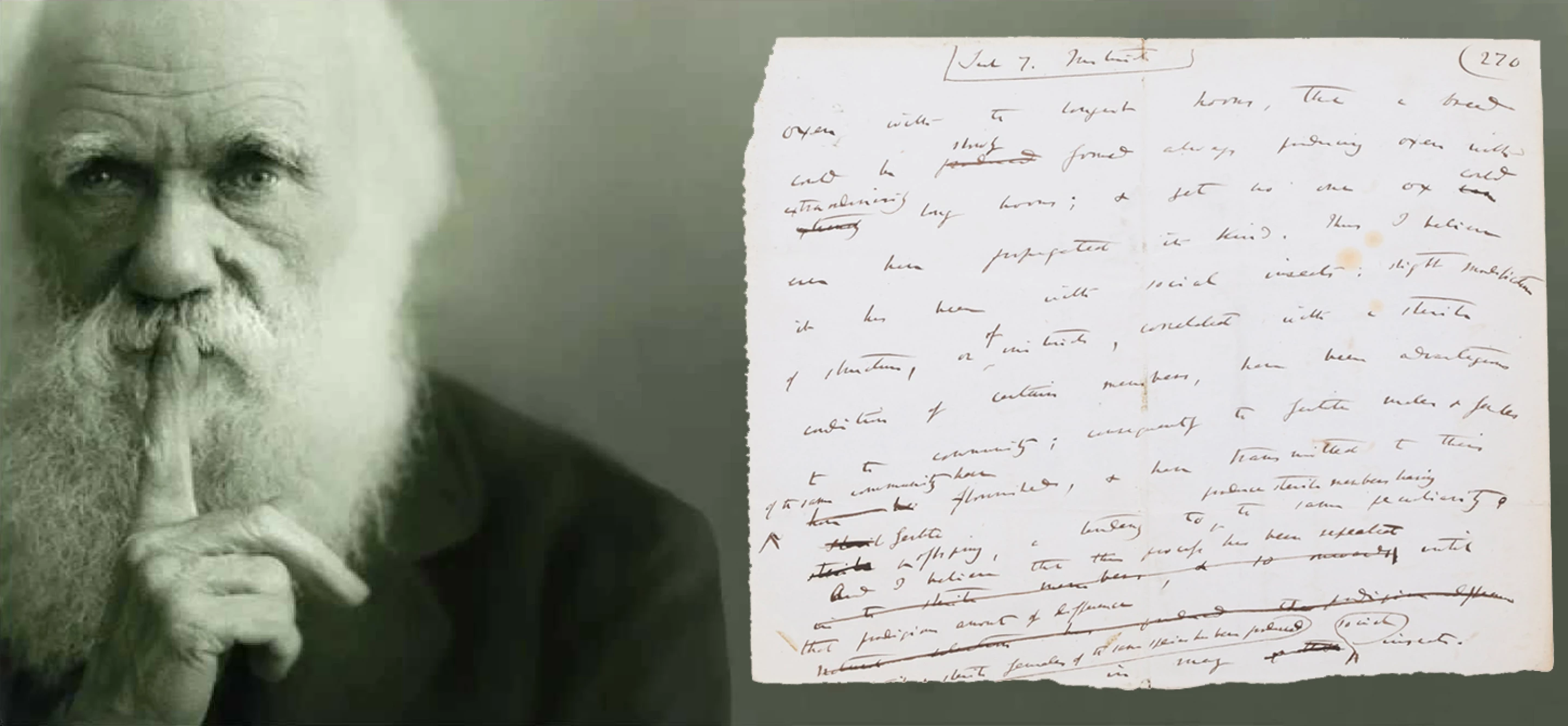 The 50 most valuable scientific documents of 2016