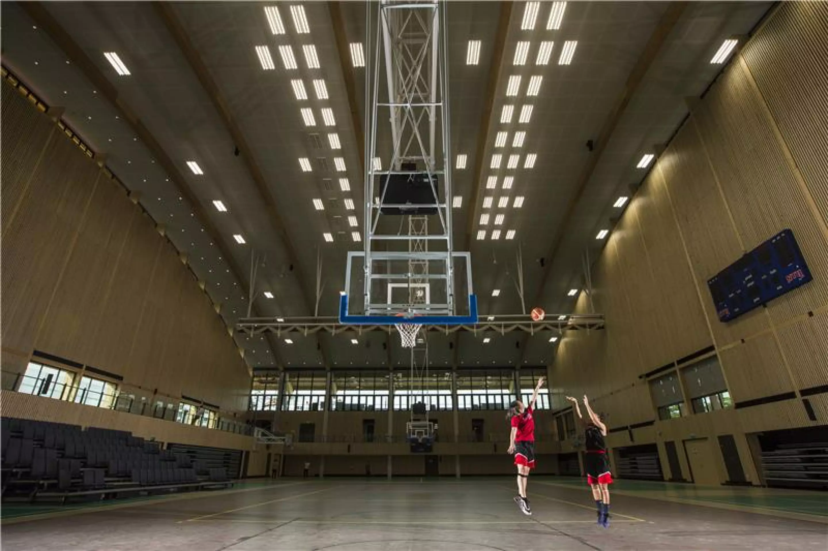 Wooden sports hall rides The Wave of sustainable design