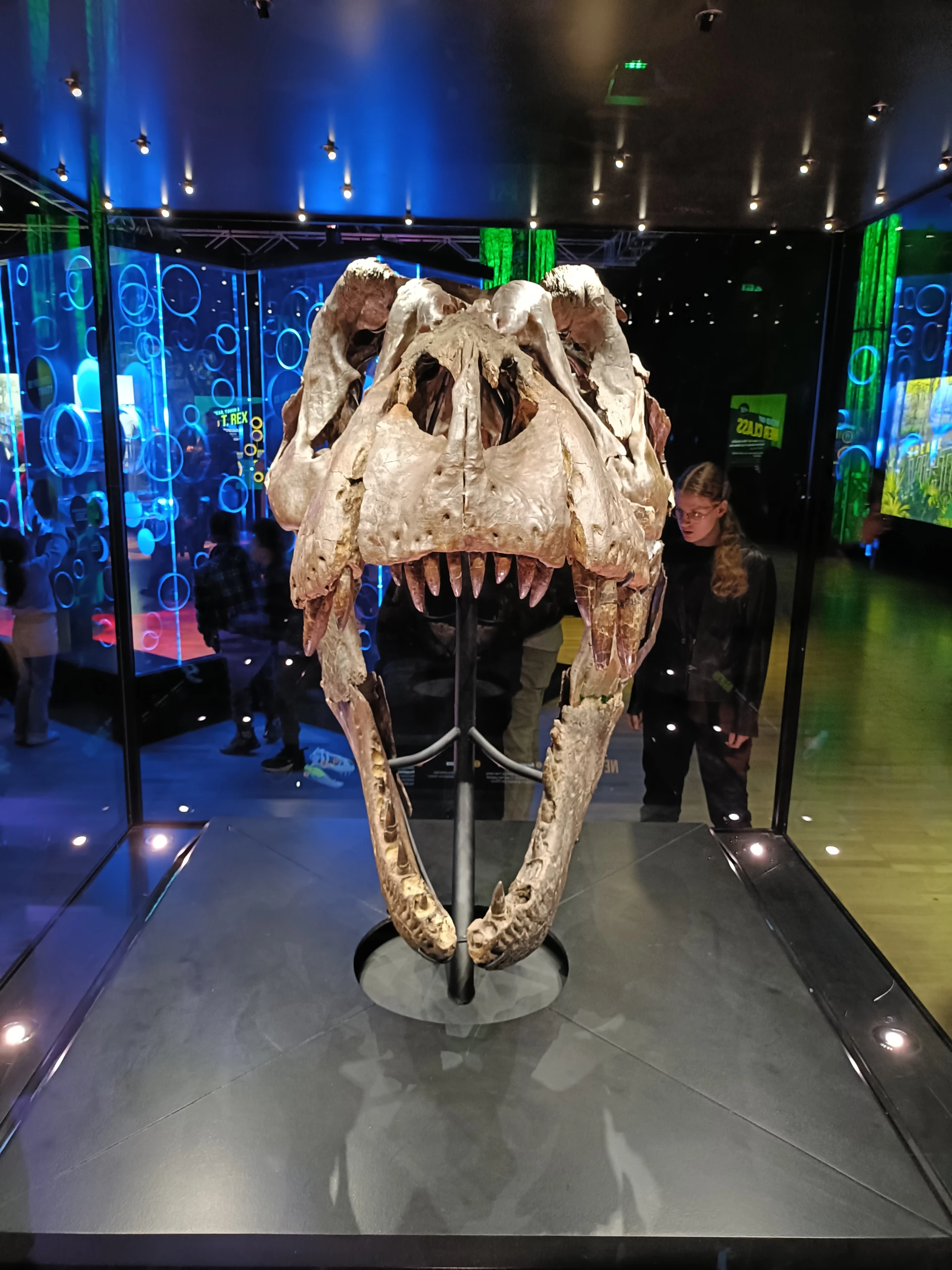 Victoria the T-Rex busts Jurassic Park myths, down to the glass of water