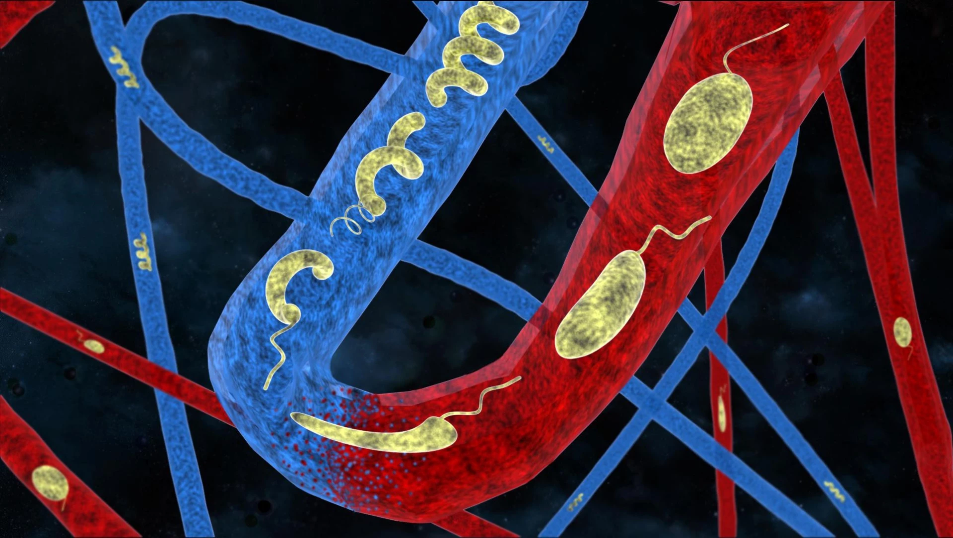 Medical micro-robots automatically change shape to swim through the body