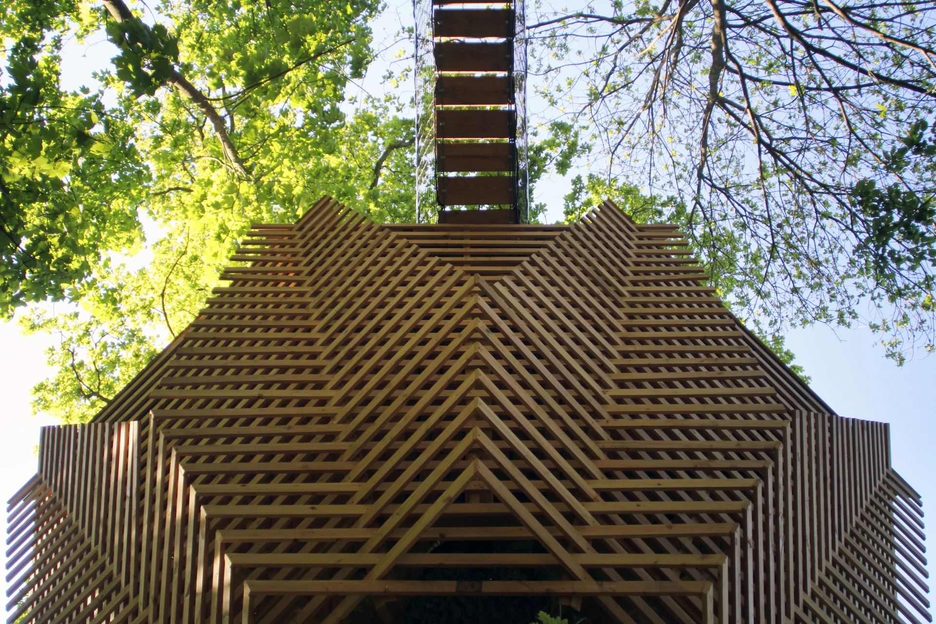 Geometric treehouse packs unexpected treetop luxury