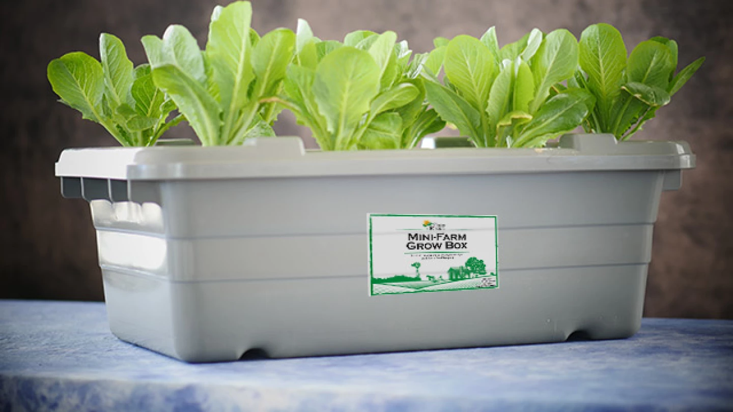 Open source Mini-Farm Grow Box allows gardeners to grow greens in the home