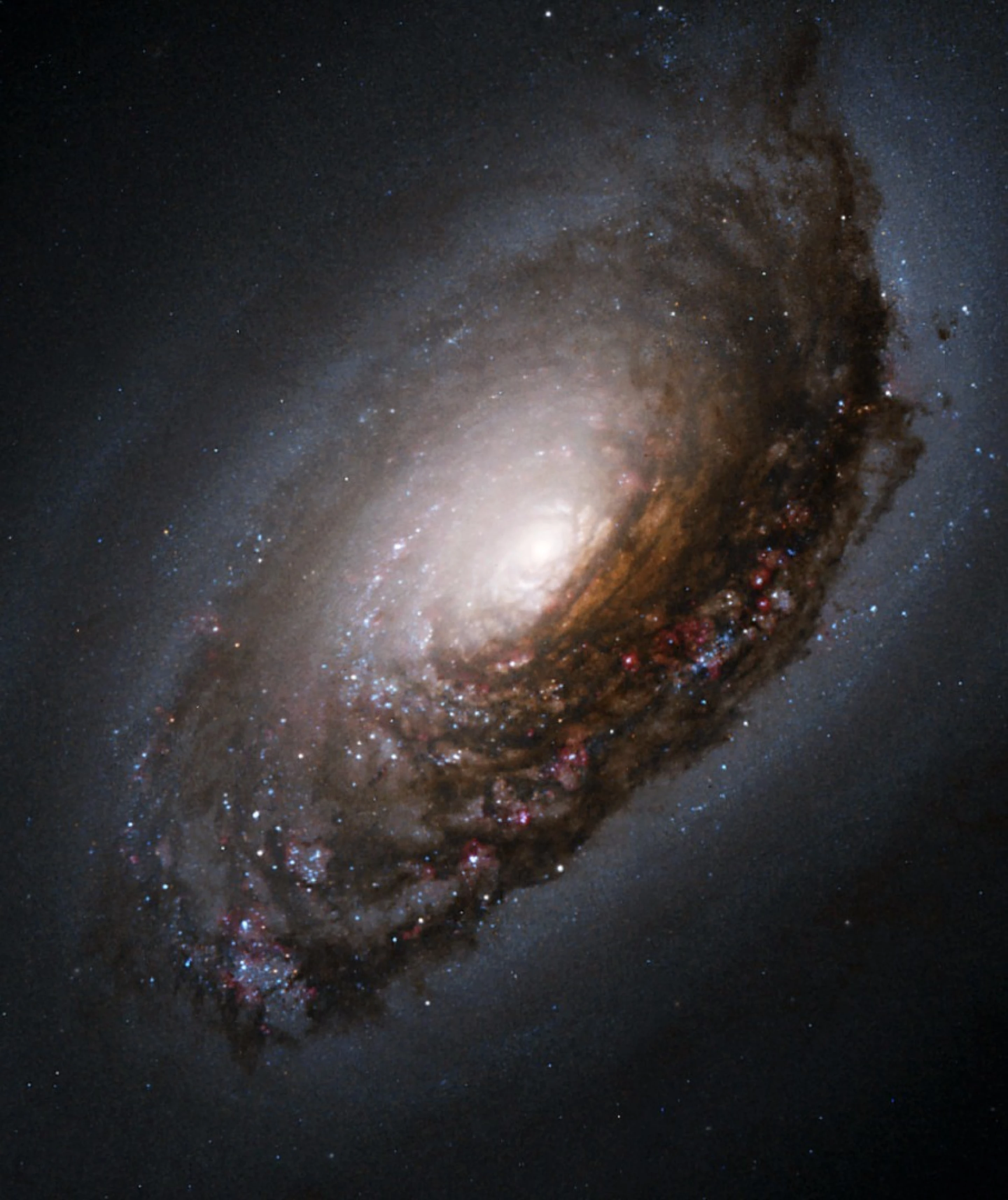 Hubble's take on the Messier catalog is stunning to behold